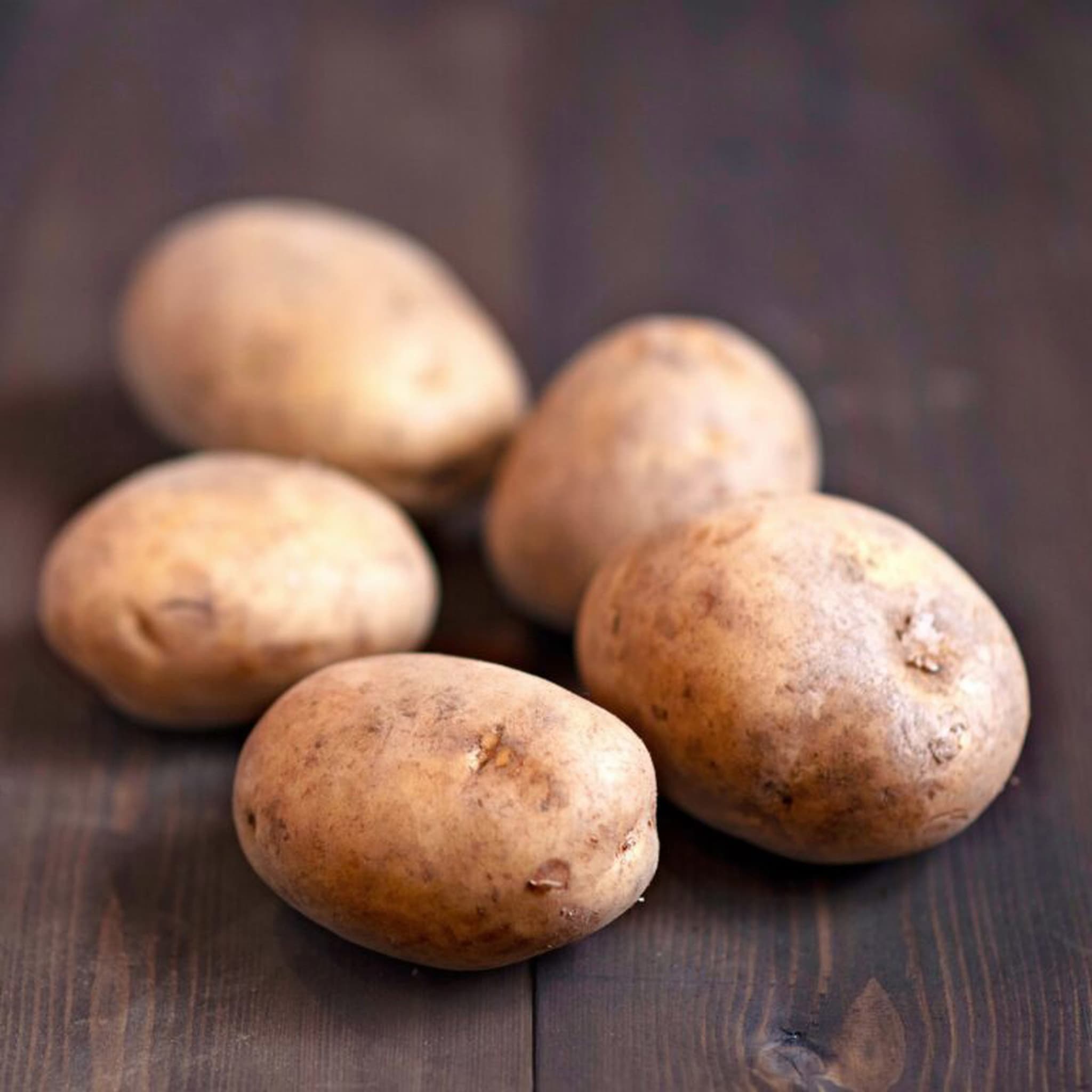 Shop local food | Macleod Organics - Scotland